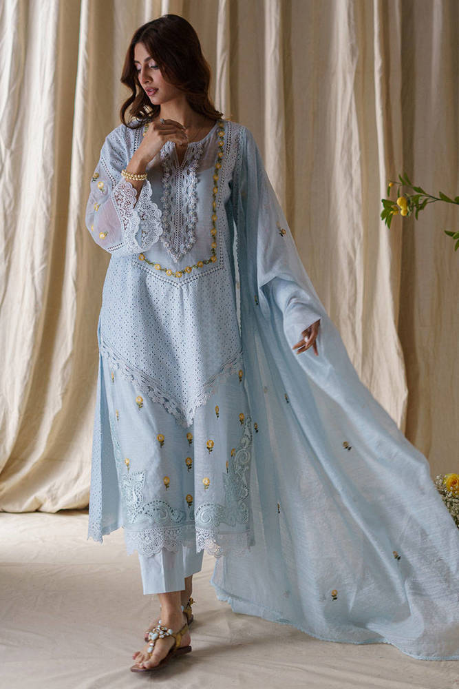 Farida Hasan. New Arrivals